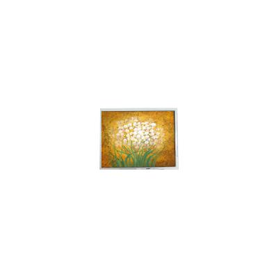 China 19.0 inch T-55699D190J-LW-A-AAN LCD Panel FOR Outdoor High Brightness for sale