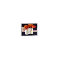 China T-55708D121J-LW-A-AAN 12.1 inch LVDS 60Hz LCD Panel Monitor for sale