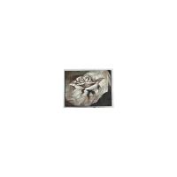 China T-55785GD070J-LW-ABN 7.0 inch 60Hz LCD Display Module for sale