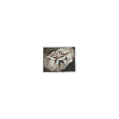 China T-55785GD070J-LW-ABN 7.0 inch 60Hz LCD Display Module for sale