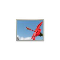 China 800*600 12.1 inch T-55788GD121J-LW-AGN 30 pins LCD Panel Module for sale