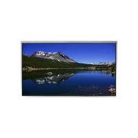 China NEW 10.1 inch P1010WXF1MB10 500 cd/m2 lcd Screen FOR TIANMA for sale