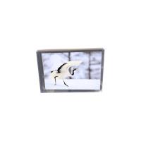 China 10.1 inch TM101JVHG30-05 PCAP TFT-LCD Screen Display for sale