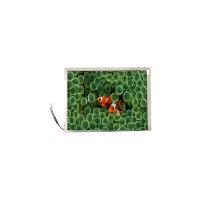 China TM104SDH01-40 10.4 inch LCD Screen Monitor for Healthcare for sale