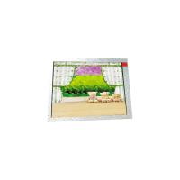 China TM150TDSG71-71 15.0 inch 60Hz TFT LCD Screen for TIANMA for sale