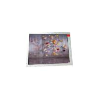 China TM150TVSG01 15.0 inch 1024*768 PCAP TFT LCD Panel monitor for sale