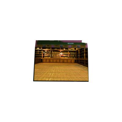 China hot sell 1600*1200 TM201XDHP01 20.1 inch LVDS LCD Display for sale