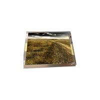 China TM48064BDA 9.0 inch 480*60 LCD Display for TIANMA for sale