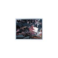 China P1210WXF1MA01 12.1 inch LVDS TFT LCD Panel Module for sale