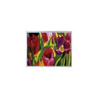 China High Quality 14.0 inch P1400FHF1MA00 TFT LCD screen Panel for sale