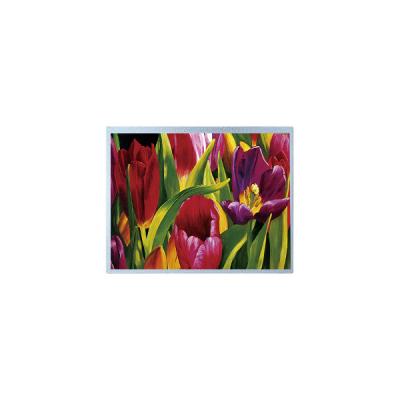 China High Quality 14.0 inch P1400FHF1MA00 TFT LCD screen Panel for sale