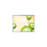 China original 15.0 inch P1500XGN1ME00 LVDS TFT LCD Display monitor for sale