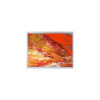 China TM150XDHP02-00 15.0 inch TFT LCD screen LCD FOR Outdoor High Brightness for sale