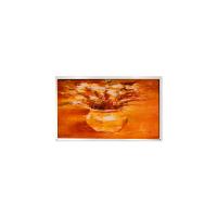 China QV101WUM-N80 10.1 inch 1920*1200 LCD Panel for Healthcare for sale