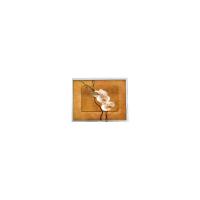 China CLAA035GA01CT mini 3.5 inch 320*240 LCD Panel Display for sale