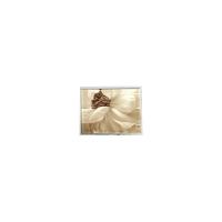 China 3.5 inch CLAA035QVA01T 320*240 LCD Panel for Video Door Phone for sale
