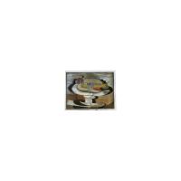 China ORIGINAL 800*480 CLAA070LD0DCW 7.0 inch LCD Display FOR Automotive for sale