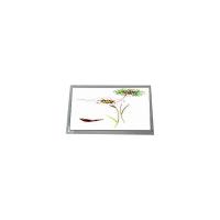 China CLAA080WQ05 XN  8.0 inch 800*1280 LCD Screen for Pad Tablet for sale