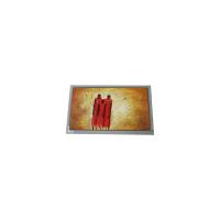 China CLAA101FP0E XG 10.1 inch LCD Screen Panel for Industrial for sale