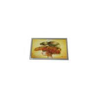 China CLAA121SP04 800*600 12.1 inch LVDS LCD Screen lcd Display monitor for sale