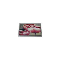 China CLAP100XA11 XV 10.0 inch 1024*768 262K LCD Screen Panel Display for sale