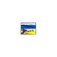 China HSD050JDW2-C10-0220 800*480 5.0 inch LCD Screen Display for sale