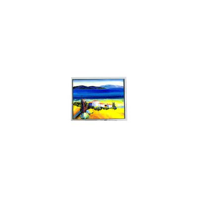China HSD050JDW2-C10-0220 800*480 5.0 inch LCD Screen Display for sale