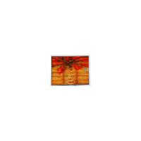 China original 800*480 HSD050NDW5-C00 5.0 inch 16.7M LCD Screen for sale