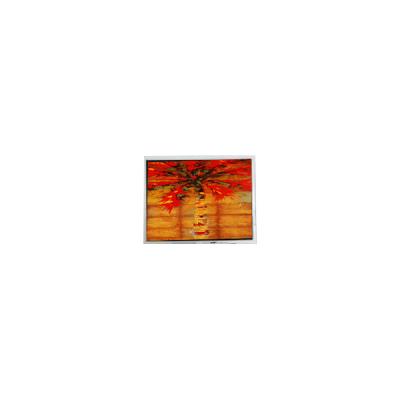 China original 800*480 HSD050NDW5-C00 5.0 inch 16.7M LCD Screen for sale