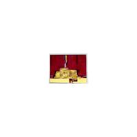 China HSD070GWW5-900001-PX 7.0 inch 800*1280 LCD Screen Module for sale