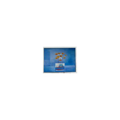 China HSD080GHW3-A15 8.0 inch 1280*720 LCD Display for Outdoor High Brightness for sale