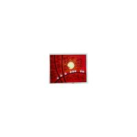 China new 8.0 inch 800*1280 HSD080PWW2-A00-0220 LCD Display for Pad Table for sale