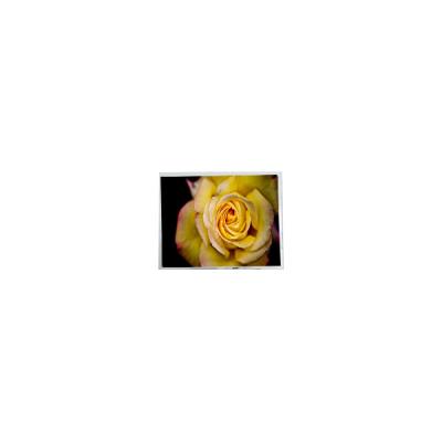 China new 9.7 inch HSD097HXN2-A00 1024*682 LCD Display Panel for sale