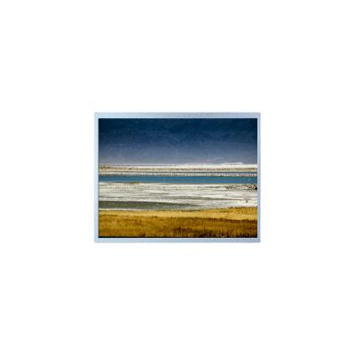 China 10.1 inch HSD101GWW5-A00-0220 1280*800 LCD Display Panel Module for sale