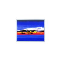 China 1920*720 12.3 inch HSD123JPW2-F10 LCD screen Module for sale