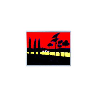 China hot sell 1920*720 HSD123JPW3-D10 12.3 inch LCD screen Display for sale