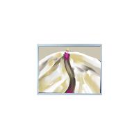China HSD150GXN1-A00-C00 15.0 inch 1024*768 LCD Touch screen Panel for sale