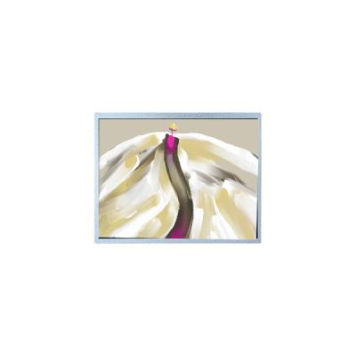 China HSD150GXN1-A00-C00 15.0 inch 1024*768 LCD Touch screen Panel for sale