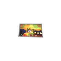 China hot sell 4.7 inch 320*240 LDCE9TA80G3CKS LCD screen Industrial for sale
