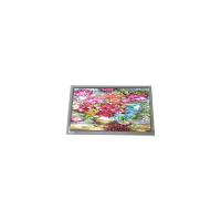 China LMCJ6S003J17CDP 5.2 inch 240*64 20 pins 70Hz LCD screen Monitor for sale