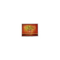China ER057005NC6 320*240 5.7 inch 16 pins LCD Screen LCD Monitor Parts for sale