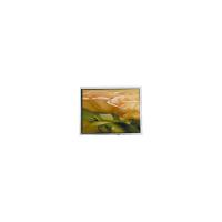 China Original 320*240 ER057010NM6 5.7 inch LCD Screen LCD Module for sale