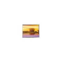 China in stock 480*272 ET0430F8DM6 4.3 inch LCD Screen for Automotive for sale