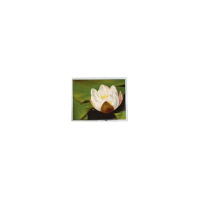 China 7.0 inch 800*480 ET0700A7DMU 262K 450 cd/m2 LCD Screen Parts for sale