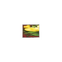 China NEW 240*320 ET028002DHU 2.8 inch LCD Touch Monitor Screen for sale