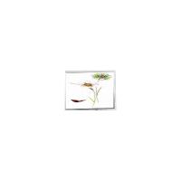 China NEW 240*320 ET028003DHU 2.8 inch LCD Touch Screen Monitor for sale