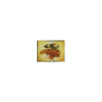 China ET057007DMU 640*480 5.7 inch 450 cd/m2 LCD Panel screen Display for sale