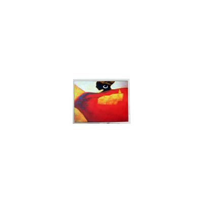 China NEW 800*480 7.0 inch ET070001DH6 262K LCD screen for sale