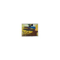 China HOT SELL 800*480 ET070001DM6 7.0 inch WLED LCD screen Parts for sale