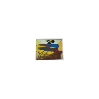 China HOT SELL 800*480 ET070001DM6 7.0 inch WLED LCD screen Parts for sale